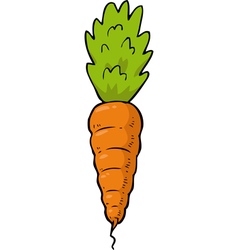 Fun carrot cartoon Royalty Free Vector Image - VectorStock