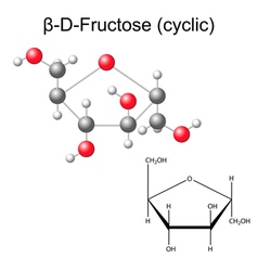 Structural chemical formula and model of fructose Vector Image