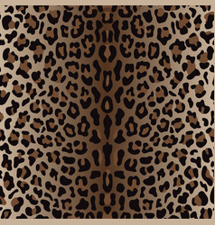 Leopard seamless pattern Royalty Free Vector Image