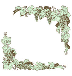 Vine grapes border Royalty Free Vector Image - VectorStock