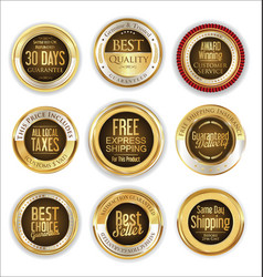 Free entry round isolated gold badge Royalty Free Vector