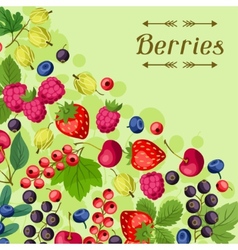 Nature background design with berries Royalty Free Vector