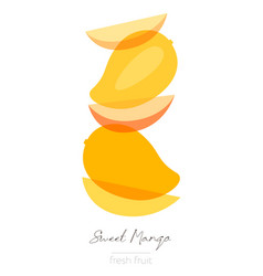 Orange mango border with paint transparent Vector Image