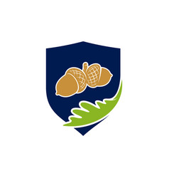 Shield oak leaf logo design creative oak tree Vector Image