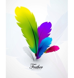 Colorful feather design Royalty Free Vector Image