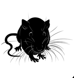 Rats Vector Images (over 25,000)