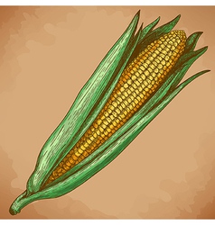 Corn Starch Vector Images (73)