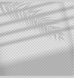 Transparent shadow overlay effect Royalty Free Vector Image