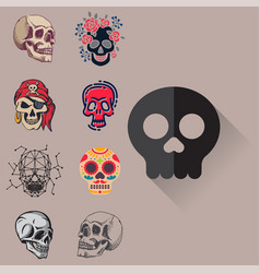 Different style skulls faces Royalty Free Vector Image