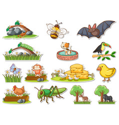 Set of cute square cartoon birds Royalty Free Vector Image