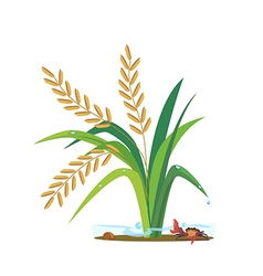Rice Royalty Free Vector Image - VectorStock
