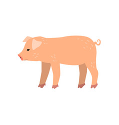 Pig icon side view flat design Royalty Free Vector Image