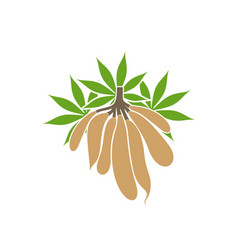 Cassava Icon Vector Images (over 200)