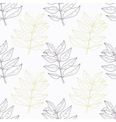 Curry Leaves Vector Images (47)