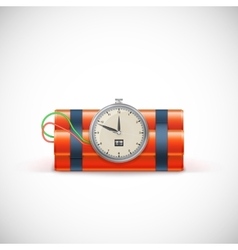 Bomb with timer Royalty Free Vector Image - VectorStock
