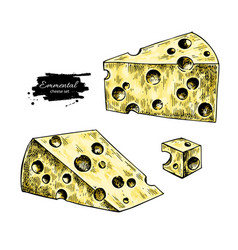 Greek feta cheese block drawing hand drawn Vector Image