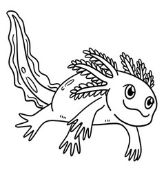 Axolotl coloring page isolated for kids Royalty Free Vector