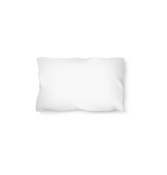 Blank orthopedic pillow or clean cushion 3d Vector Image