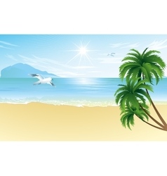 Summer beach with palm trees Royalty Free Vector Image