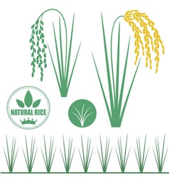 Rice Royalty Free Vector Image - VectorStock