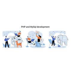 Php and mysql development software website Vector Image