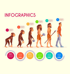 Human evolution infographics Royalty Free Vector Image