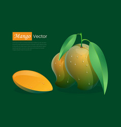 Download Free Vectors & Graphics - VectorStock.com