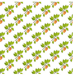 Apricot Vector Images (over 13,000)