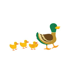 Duck farm animal Royalty Free Vector Image - VectorStock