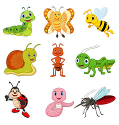 Cute bee cartoon Royalty Free Vector Image - VectorStock