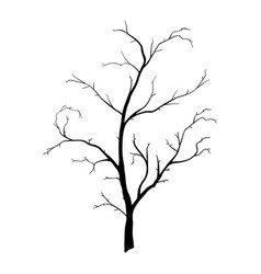 Tree silhouette Royalty Free Vector Image - VectorStock