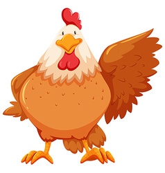 Diagram showing parts of chicken Royalty Free Vector Image