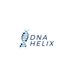 Colorful dna spirals bright Royalty Free Vector Image