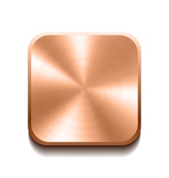 Realistic metal button Royalty Free Vector Image
