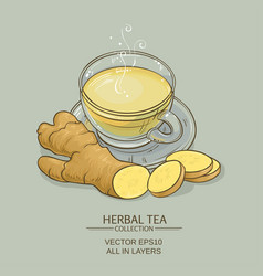 Ginger tea Royalty Free Vector Image - VectorStock