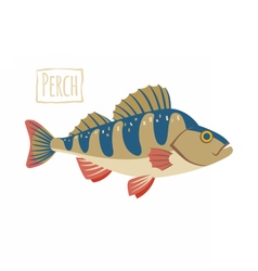 Cartoon funny bass fish collection Royalty Free Vector Image