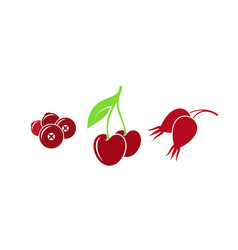 Berry set Royalty Free Vector Image - VectorStock
