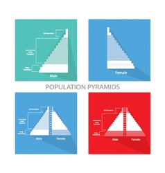 The Four Stage of Population Pyramids Charts Vector Image