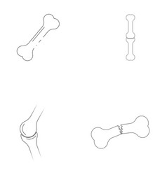 Simple bone icon template Royalty Free Vector Image