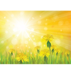 Spring background flowers Royalty Free Vector Image