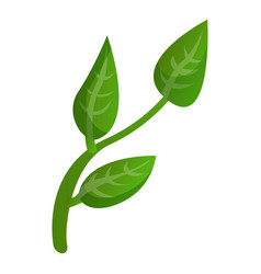 Matcha tea leaf icon cartoon style Royalty Free Vector Image