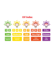 Infographic of uv index guideline to protection Vector Image