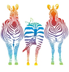 Rainbow zebra Royalty Free Vector Image - VectorStock