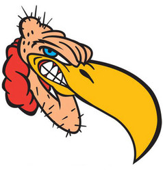 Buzzard Vector Images (over 260)