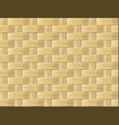 Woven sketch seamless pattern braided mat Vector Image