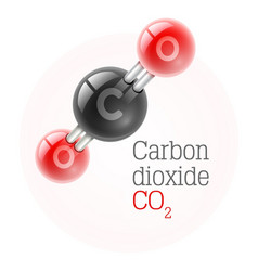 Carbon dioxide molecular formula Royalty Free Vector Image