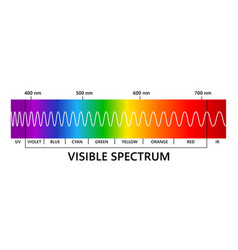 Visible light spectrum color waves length Vector Image