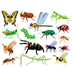 Cartoon funny ladybug Royalty Free Vector Image