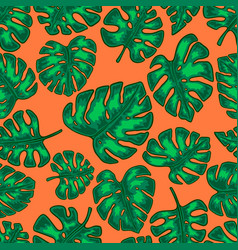 Monstera leaves seamless tropical background Vector Image