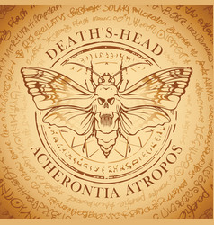 Mole acherontia atropos with old magic symbols Vector Image